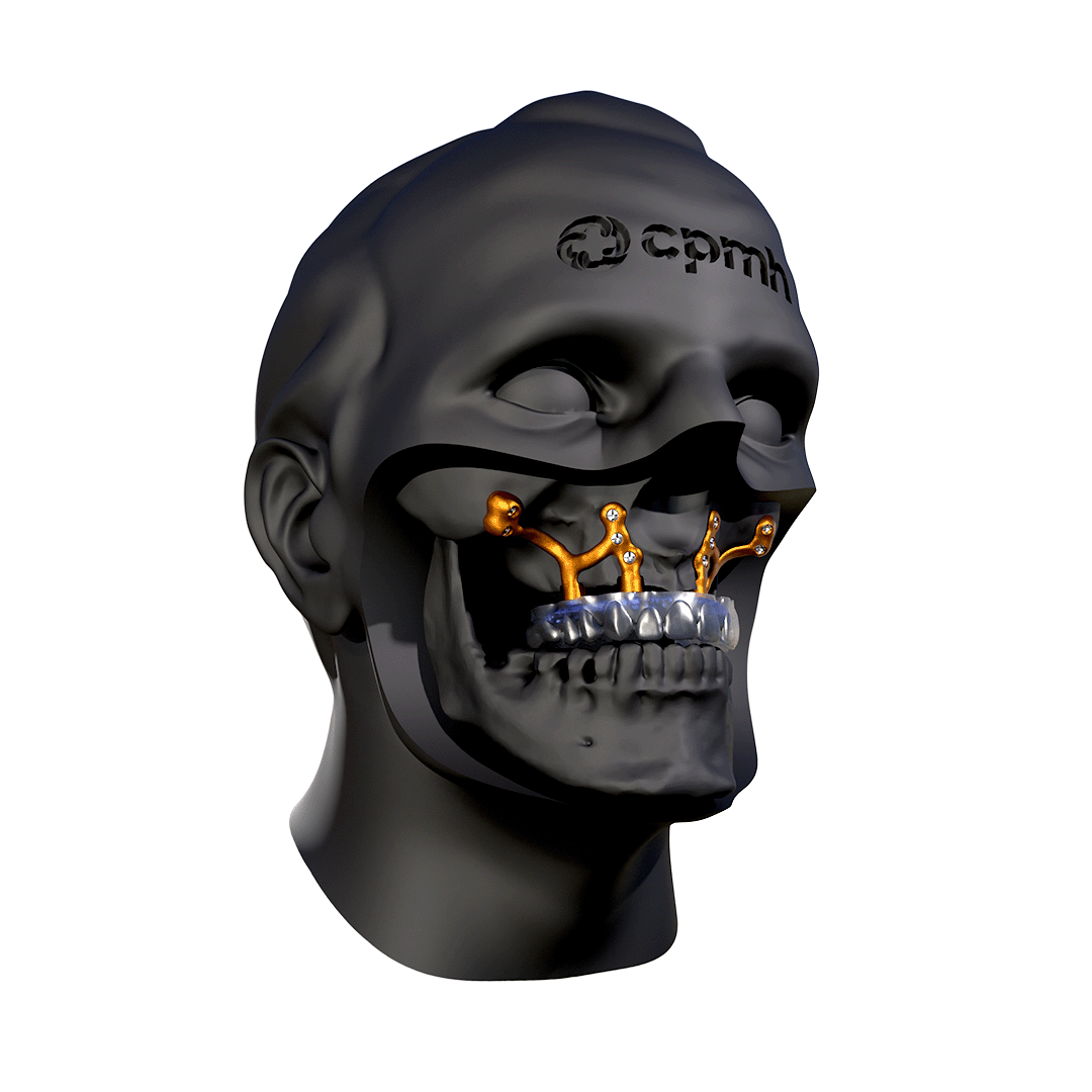 Custom Life | CPMH Digital